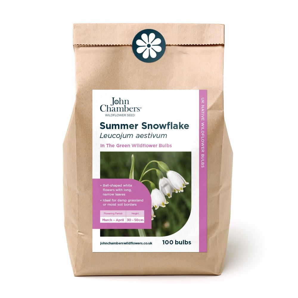 Summer Snowflake In the Green Wildflower Bulbs