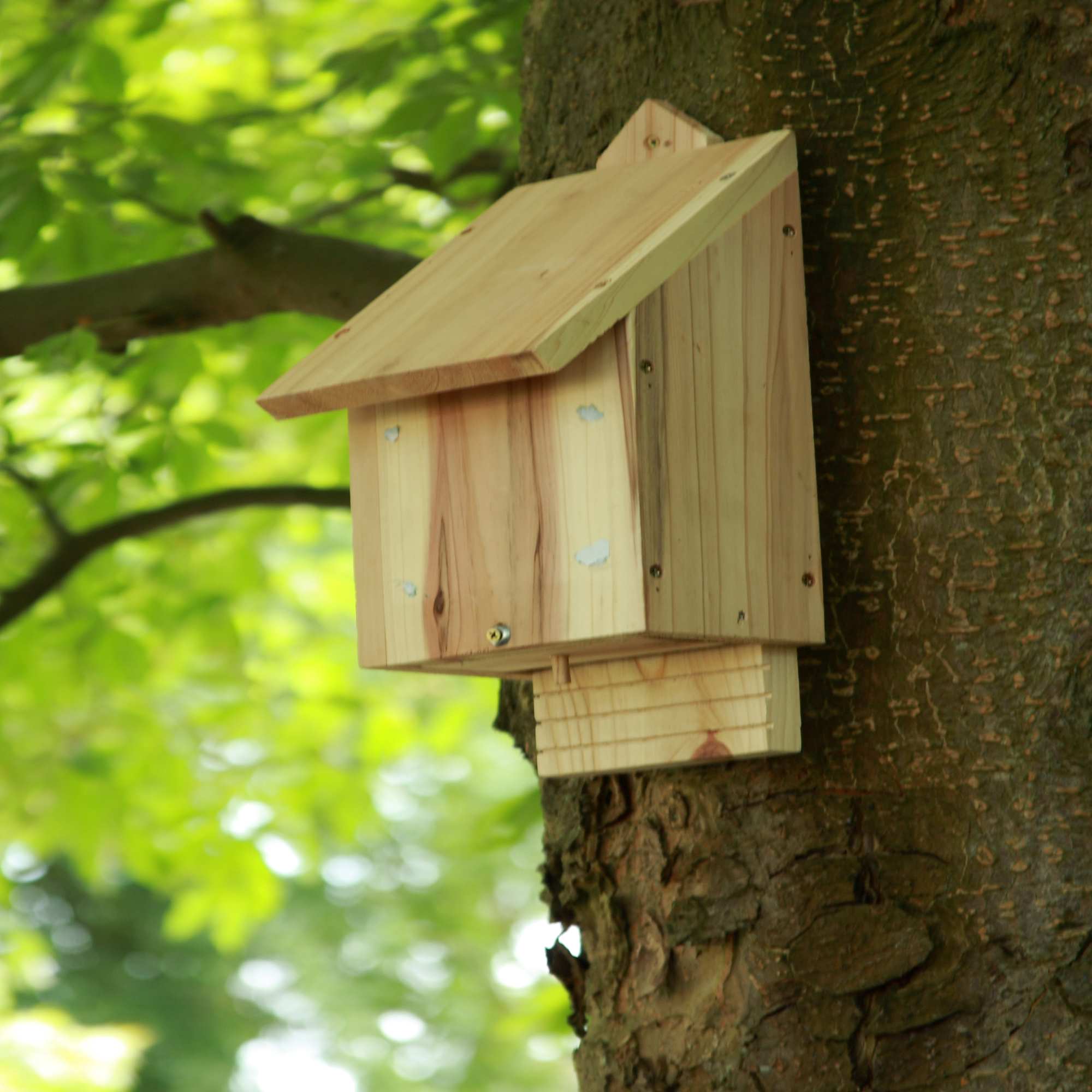 Chavenage Bat Box - Wildlife Nest Boxes | John Chambers