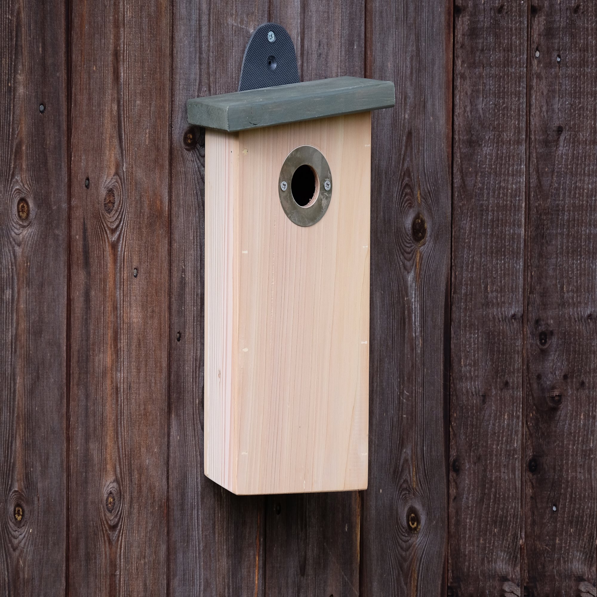Predator Resist Nestbox Bird Box - Bird Nesting Boxes | John Chambers